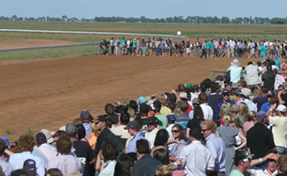 Race Day | Carrathool Races
