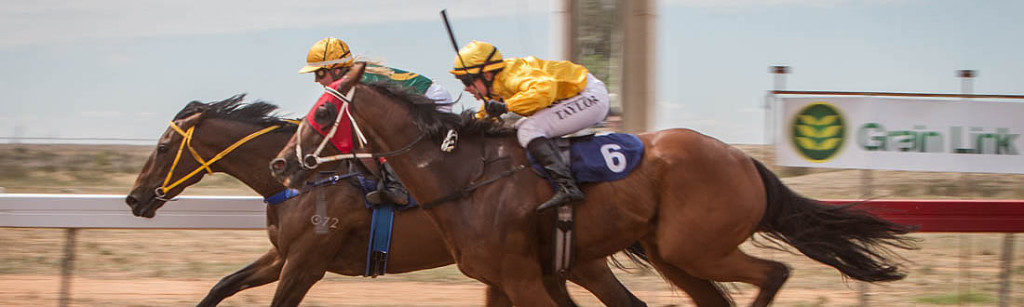 Carrathool Races | Carrathool Races